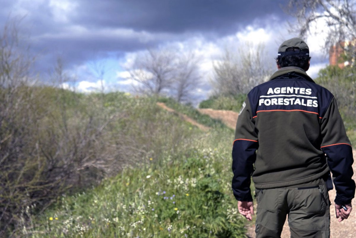 Requisitos para ser Guarda Forestal - ImpulsaT
