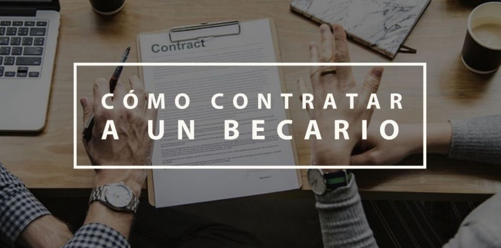 Cómo contratar a un becario en España en 2023- ImpulsaT