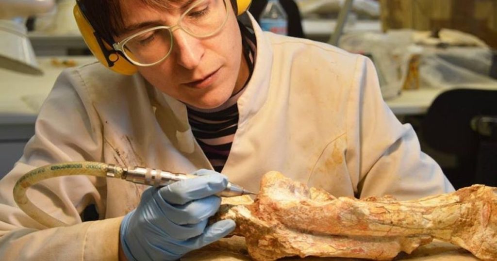 Estudiar Carrera de Paleontología Guía 2023 - ImpulsaT