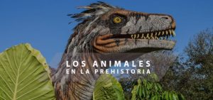 Los animales en la Prehistoria - ImpulsaT