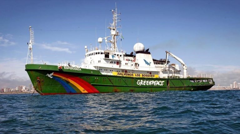 Cómo trabajar en Greenpeace - ImpulsaT